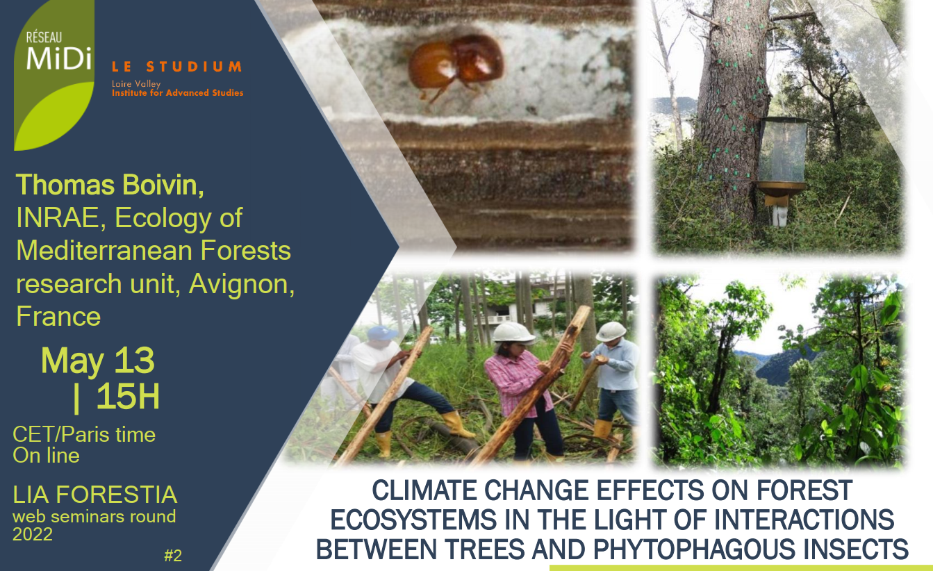 LIA FORESTIA - Round 3